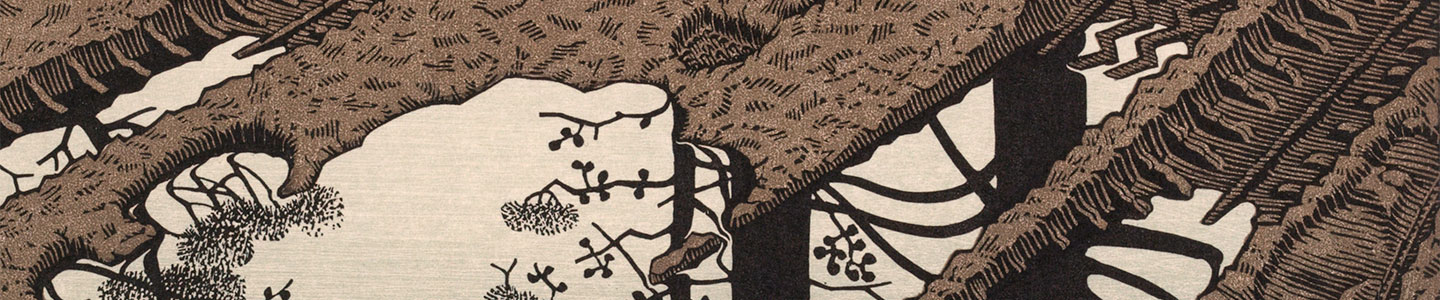 Infinity in a puddle | Museum Escher in The Palace