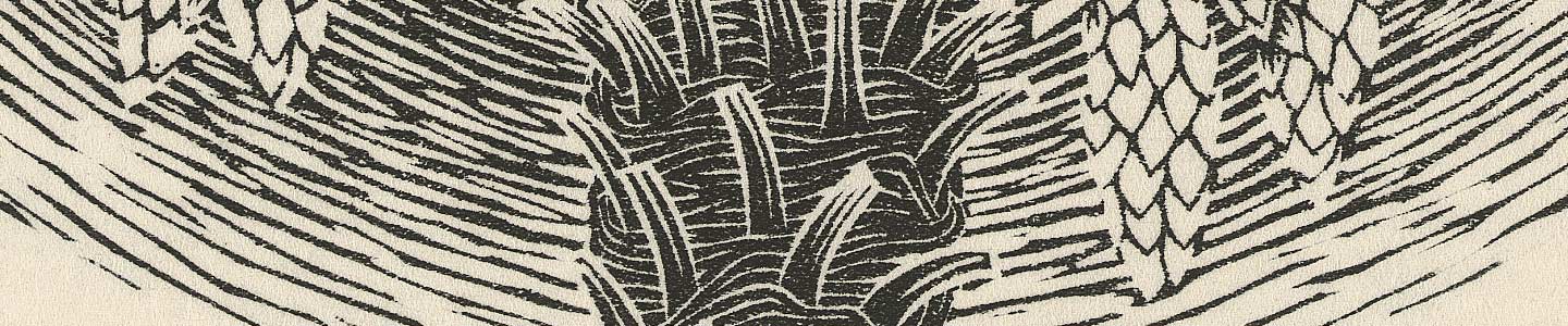 Escher's palm trees | Museum Escher in The Palace